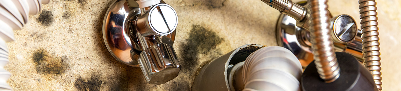 Self-Advocacy | Disability Rights California