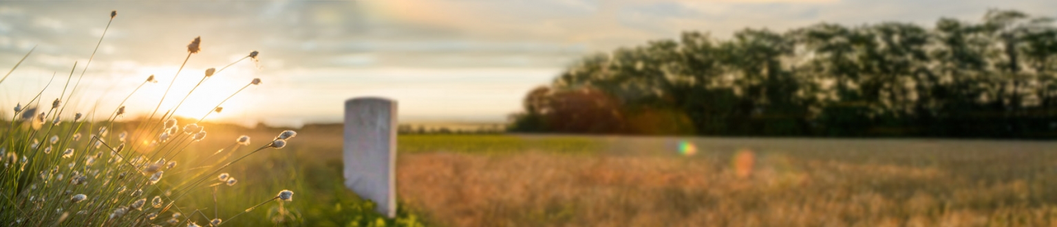 California Memorial Project - Remembering and honoring those who were ...