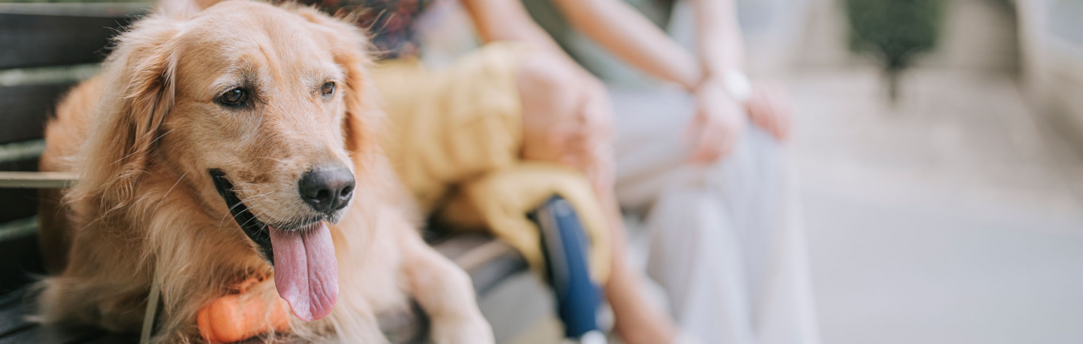 2022 Annual Report - Peer Self-Advocacy | Disability Rights California